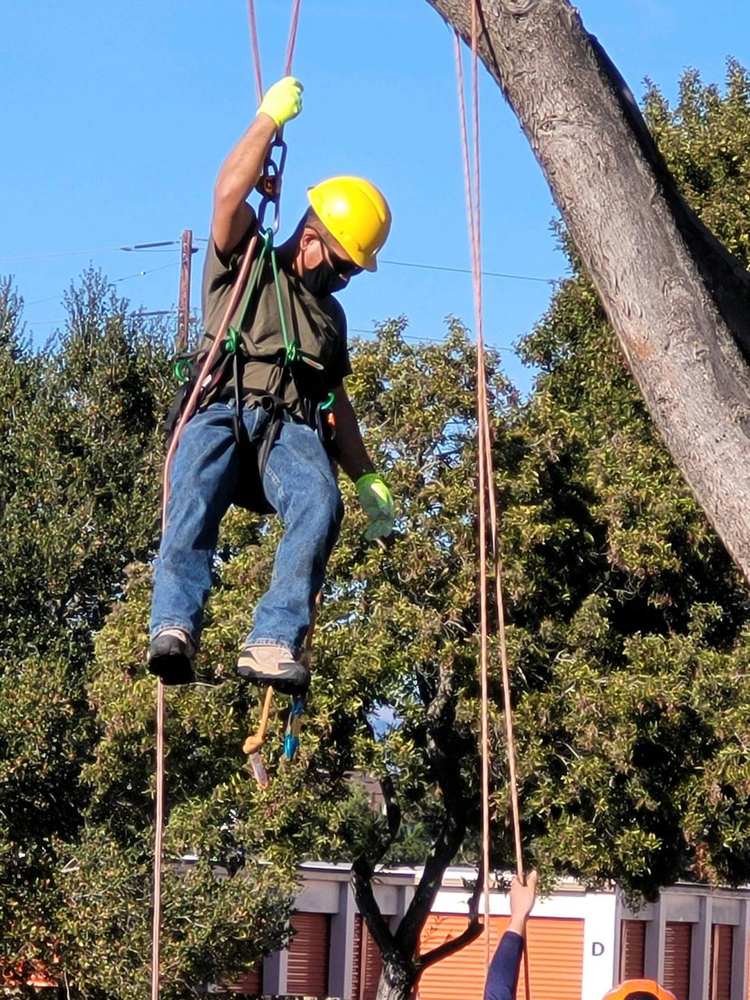 Safety Always Comes First